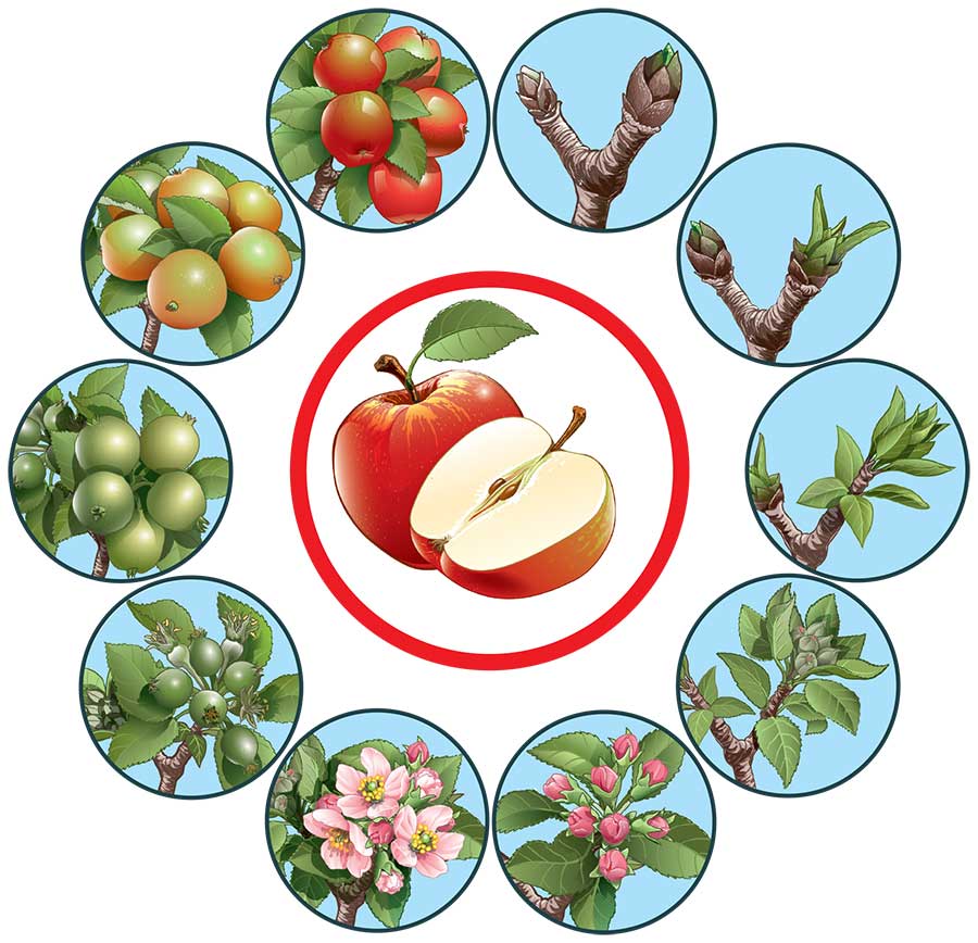 Home - Villa Crop Protection